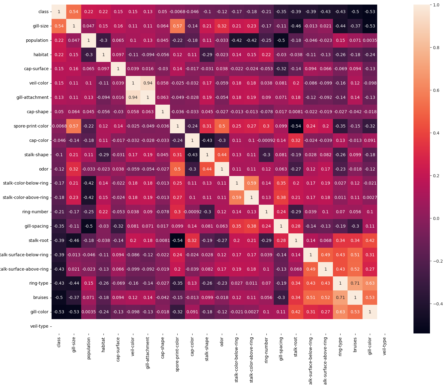 Poisonous mushroom features | Portfolio